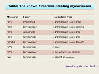 Mycoviruses in plant disease management final | PPTX