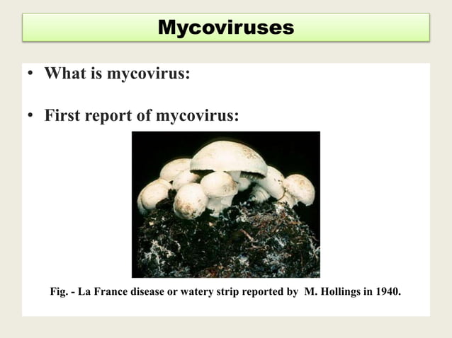 Mycoviruses in plant disease management final | PPT