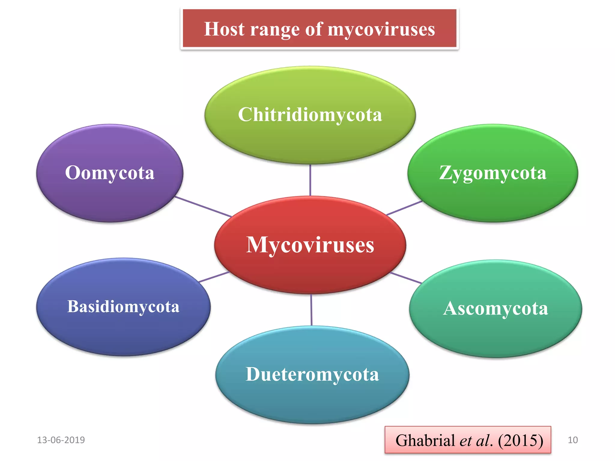 Mycoviruses of filamentous fungi and their relevance to plant pathology ...