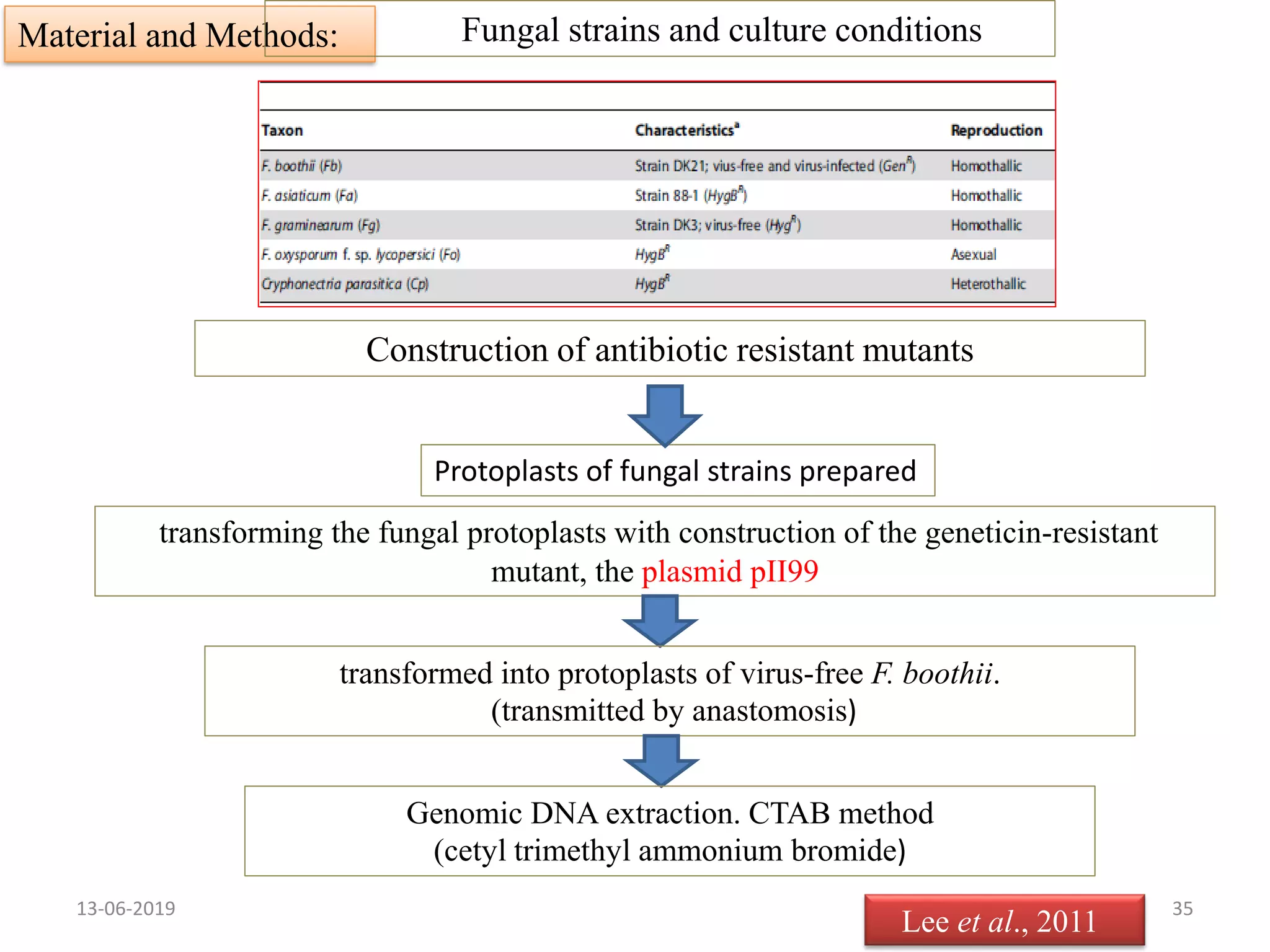 Mycoviruses of filamentous fungi and their relevance to plant pathology ...
