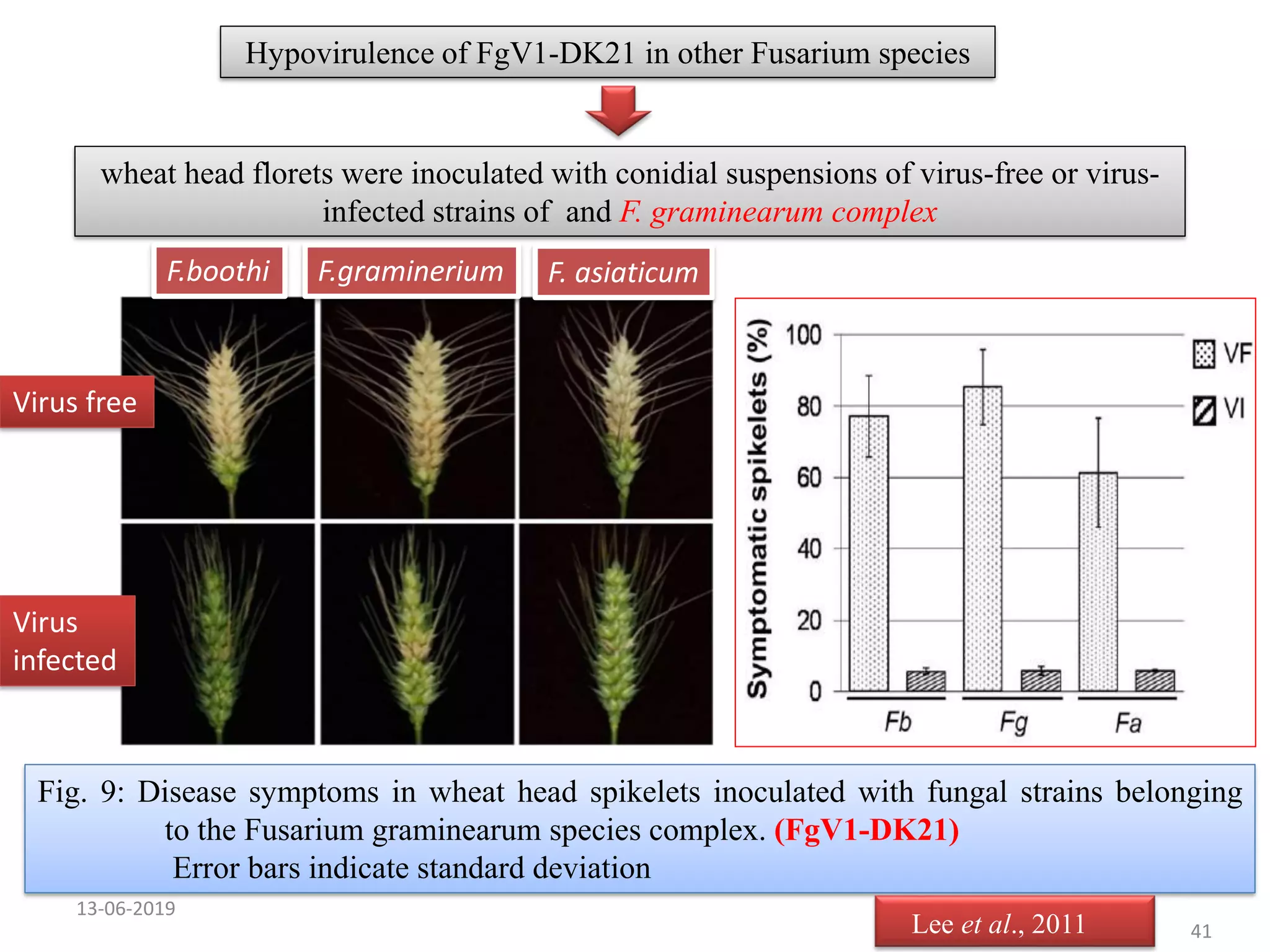 Mycoviruses of filamentous fungi and their relevance to plant pathology ...