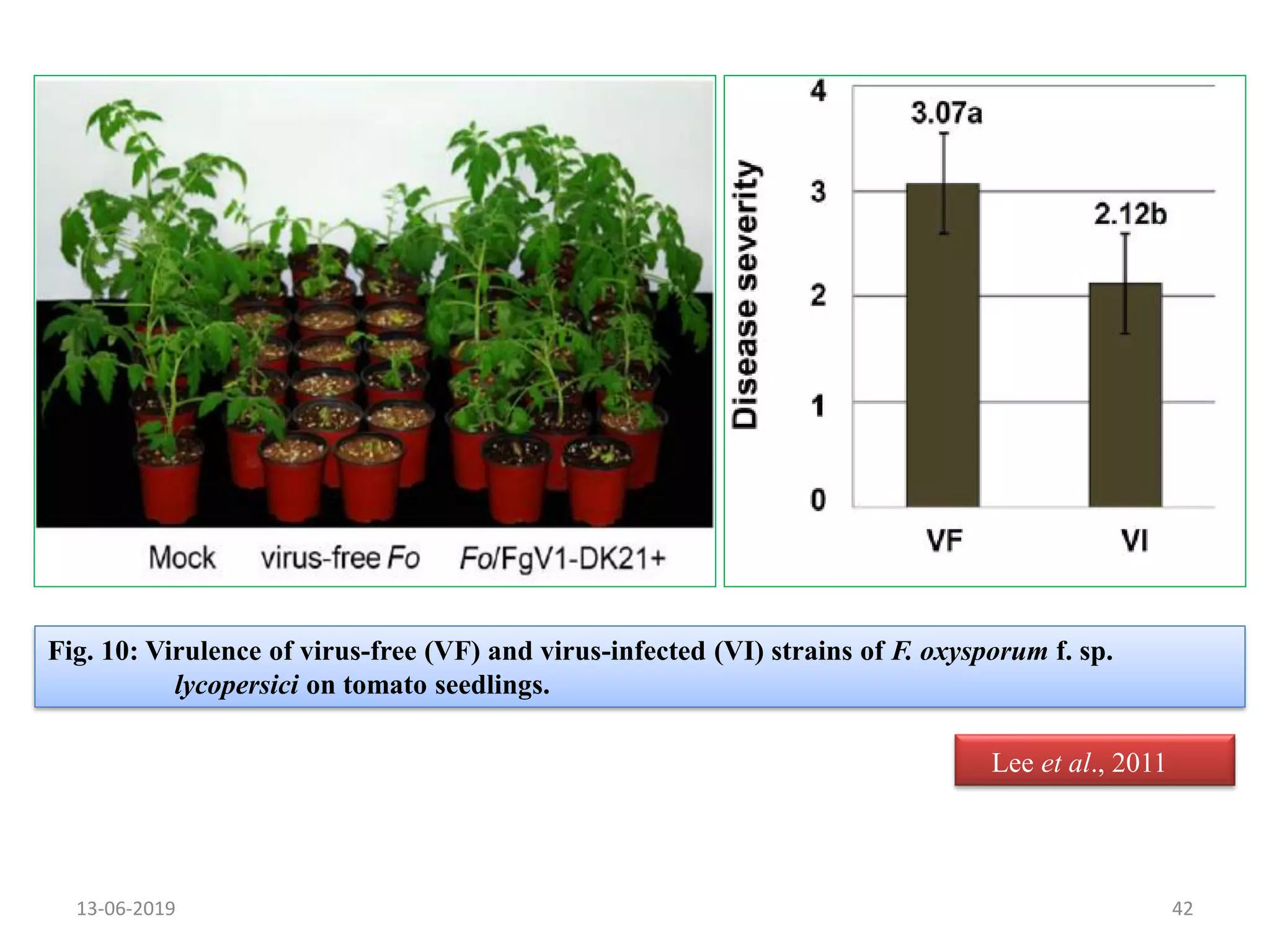 Mycoviruses of filamentous fungi and their relevance to plant pathology ...