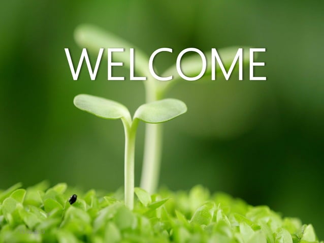 Mycoviruses of filamentous fungi and their relevance to plant pathology ...