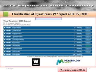 Mycoviruses of filamentous fungi and their relevance to plant pathology ...