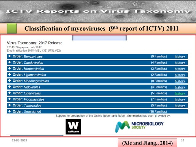 Mycoviruses of filamentous fungi and their relevance to plant pathology ...