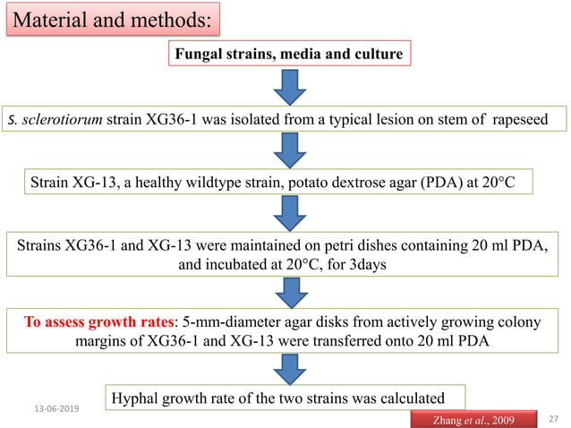 Mycoviruses of filamentous fungi and their relevance to plant pathology ...