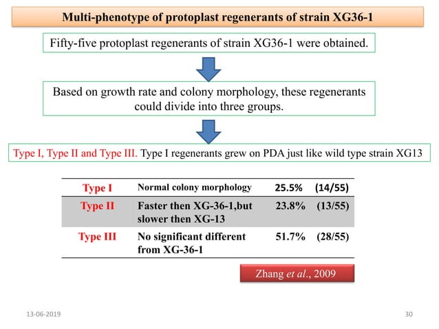 Mycoviruses of filamentous fungi and their relevance to plant pathology ...