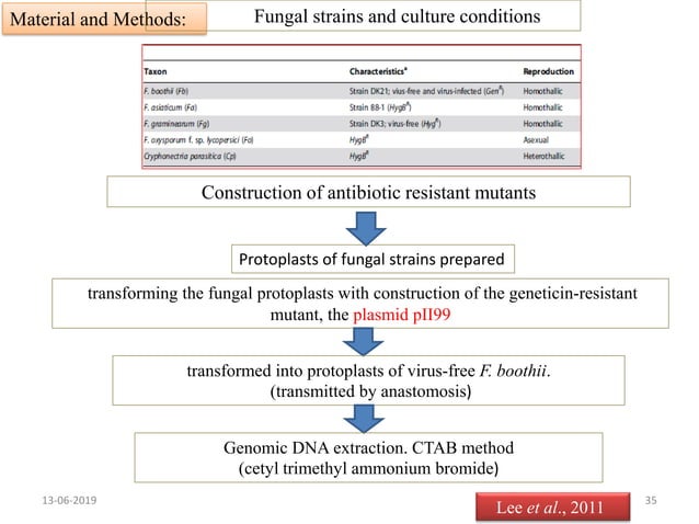 Mycoviruses of filamentous fungi and their relevance to plant pathology ...