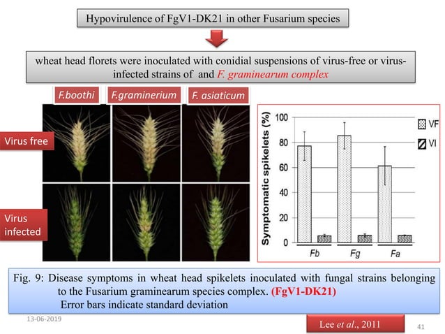 Mycoviruses of filamentous fungi and their relevance to plant pathology ...