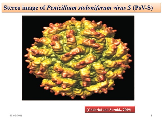 Mycoviruses of filamentous fungi and their relevance to plant pathology ...