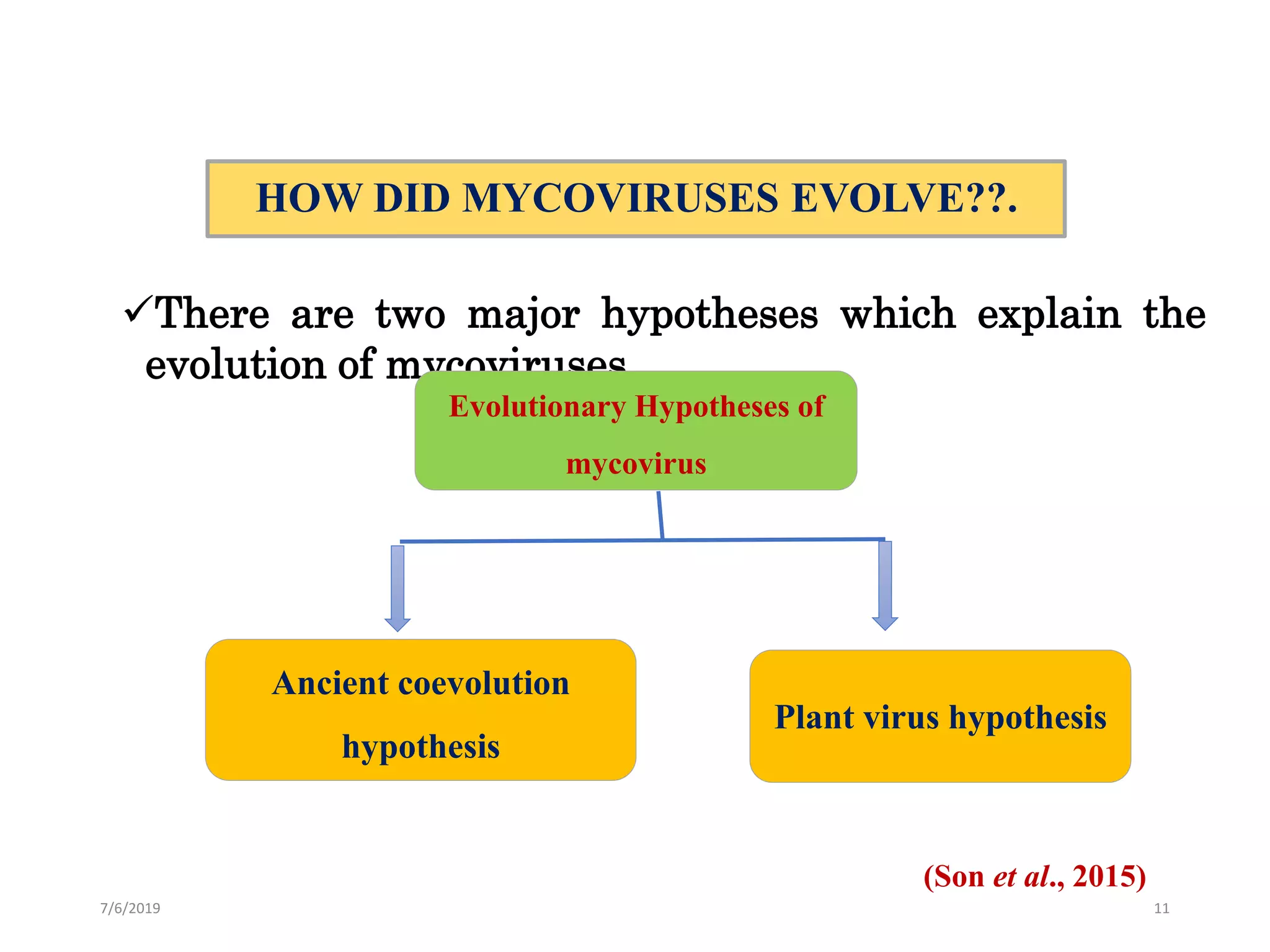 mycoviruses presentation 1.pptx