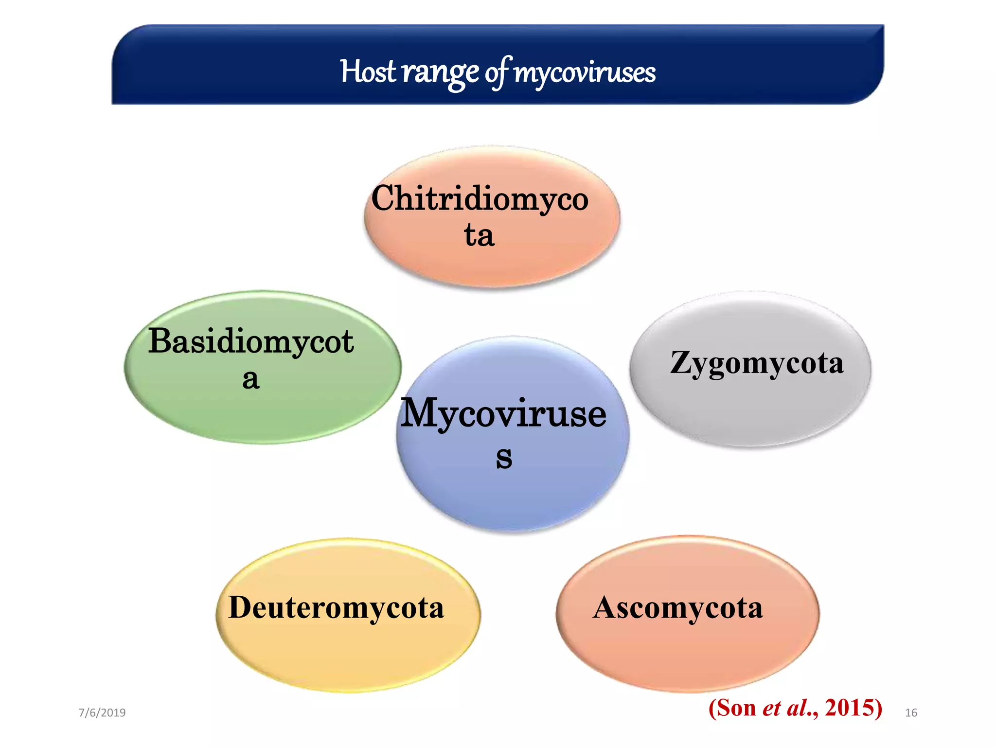 mycoviruses presentation 1.pptx