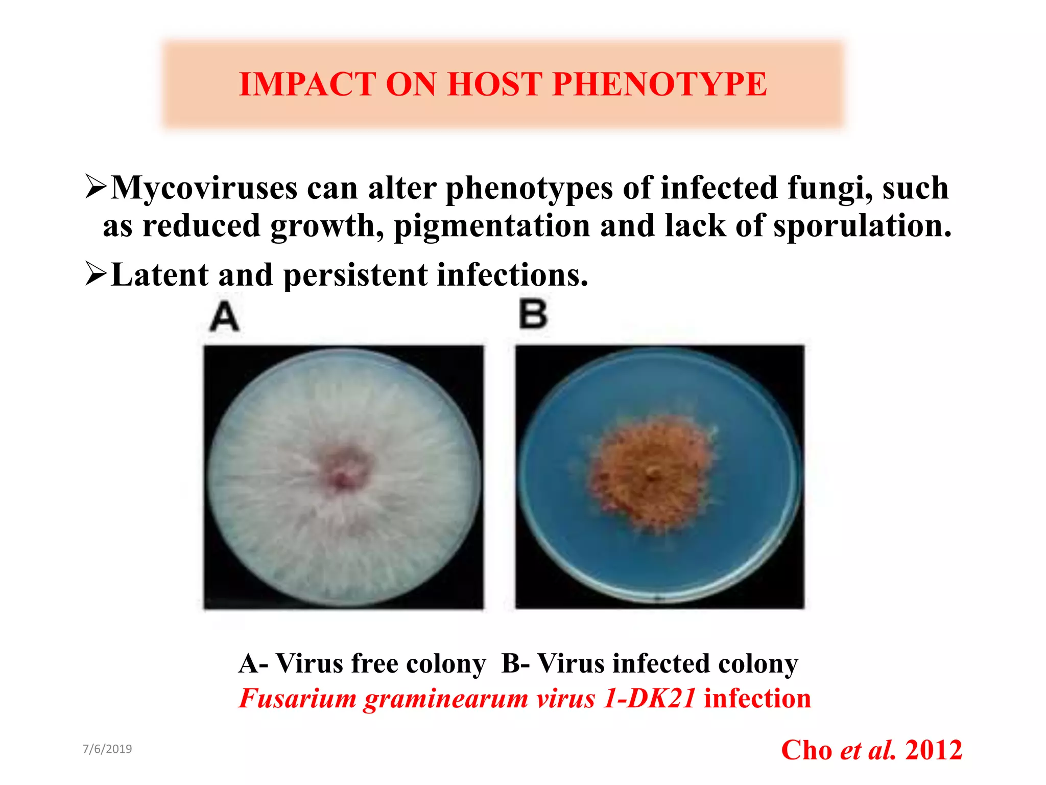 mycoviruses presentation 1.pptx