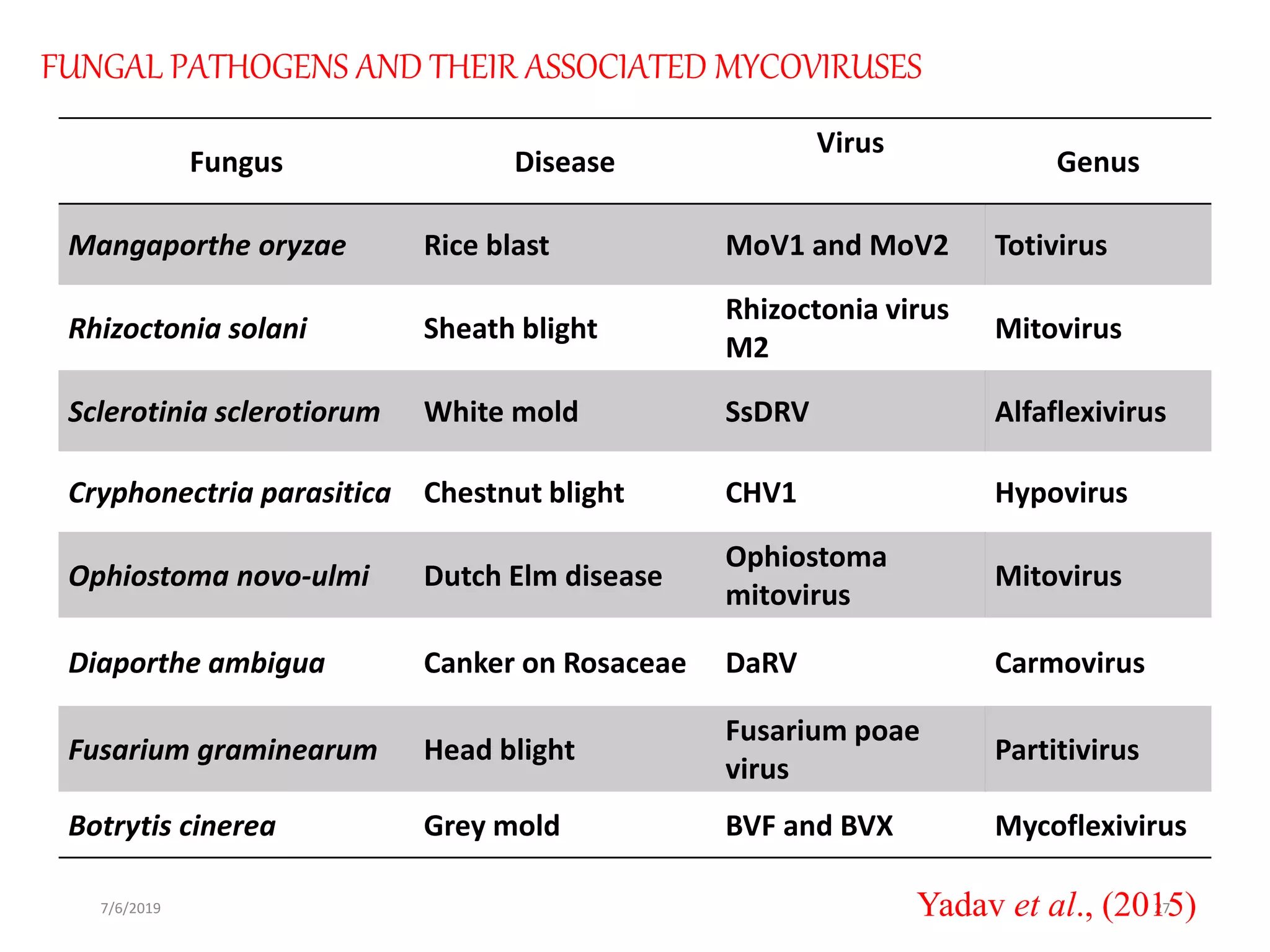 mycoviruses presentation 1.pptx