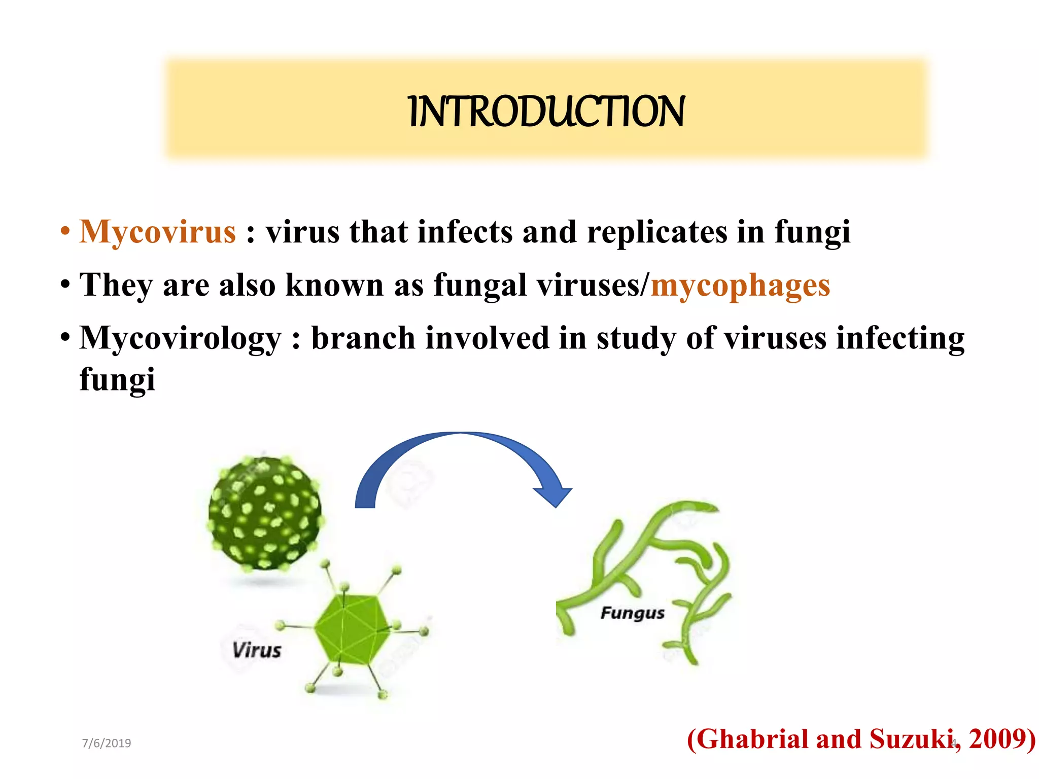 mycoviruses presentation 1.pptx