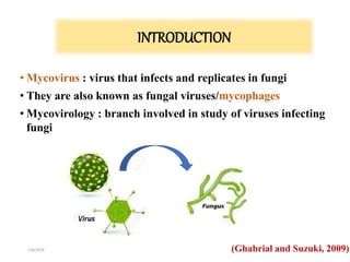 mycoviruses presentation 1.pptx