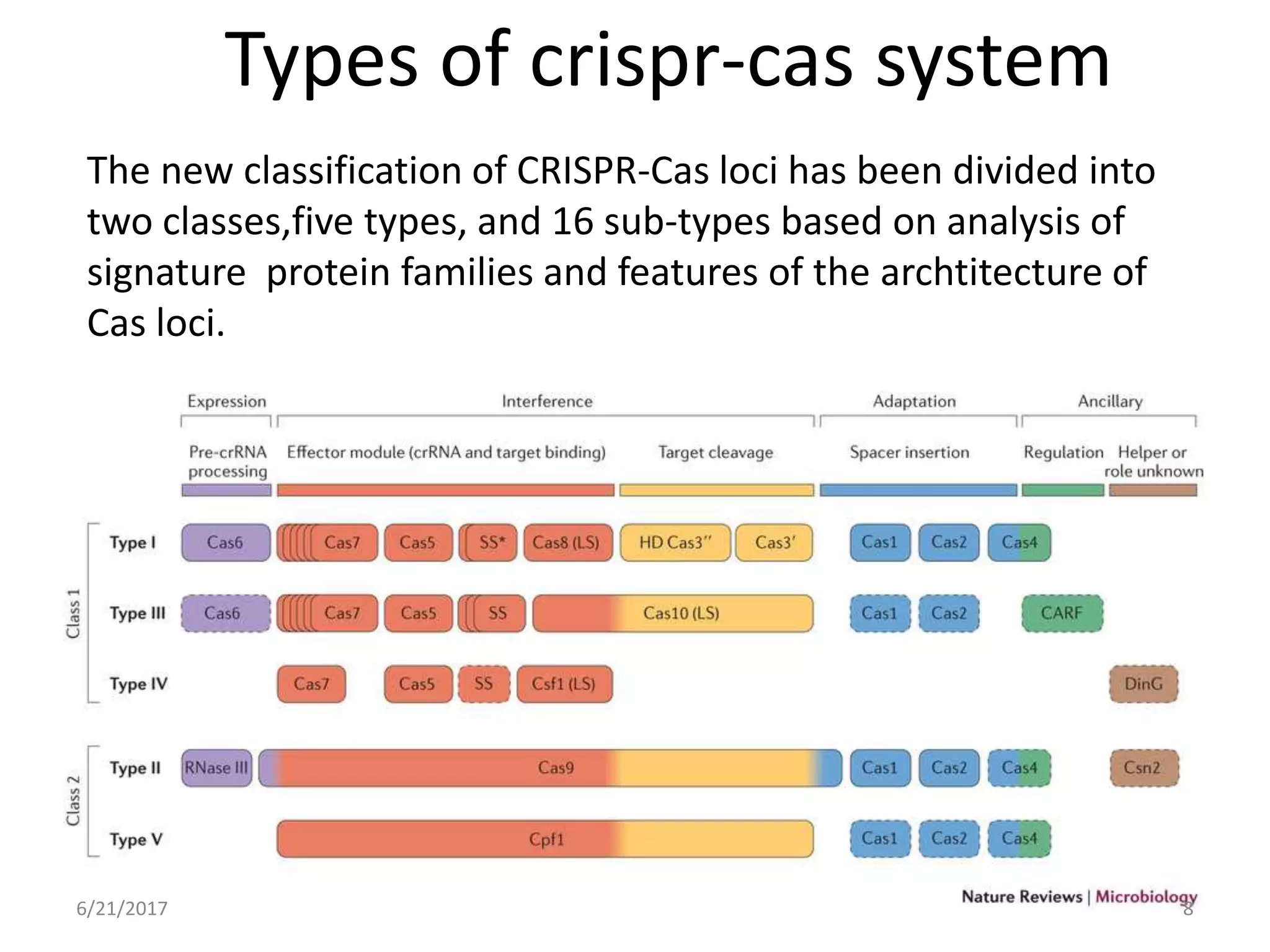 SEMINAR ON CRISPR | PPTX | Genetics | Science