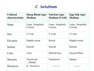 mycrobial presentation (Basoz).pptx. . | PPT