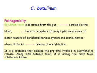 mycrobial presentation (Basoz).pptx. . | PPTX