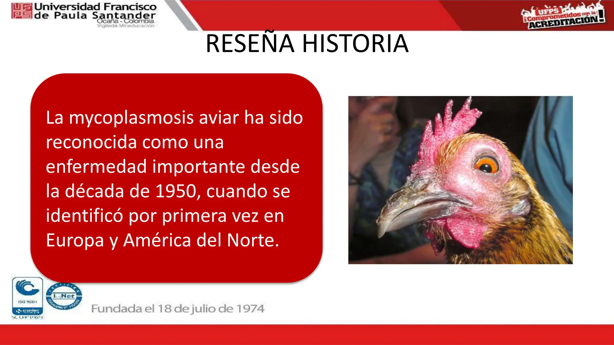MYCROPLASMOSIS AVIAR(MYCOPLASMA GALLISEPTICUM) (711063).pptx