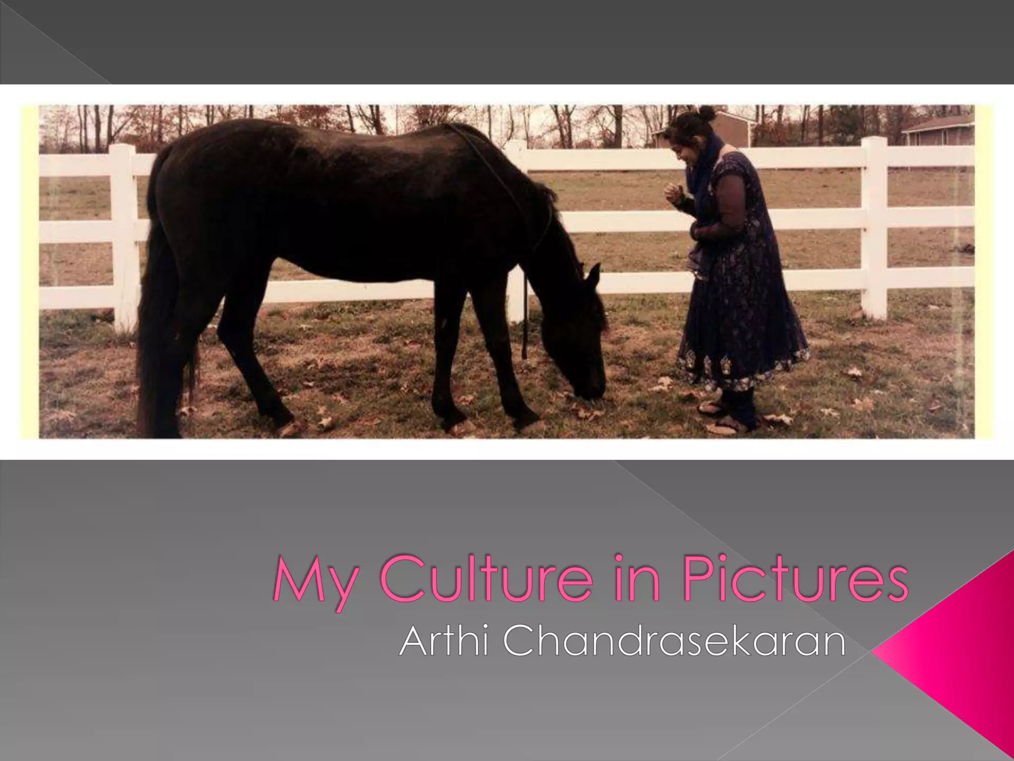 My Culture in Pictures | PPTX