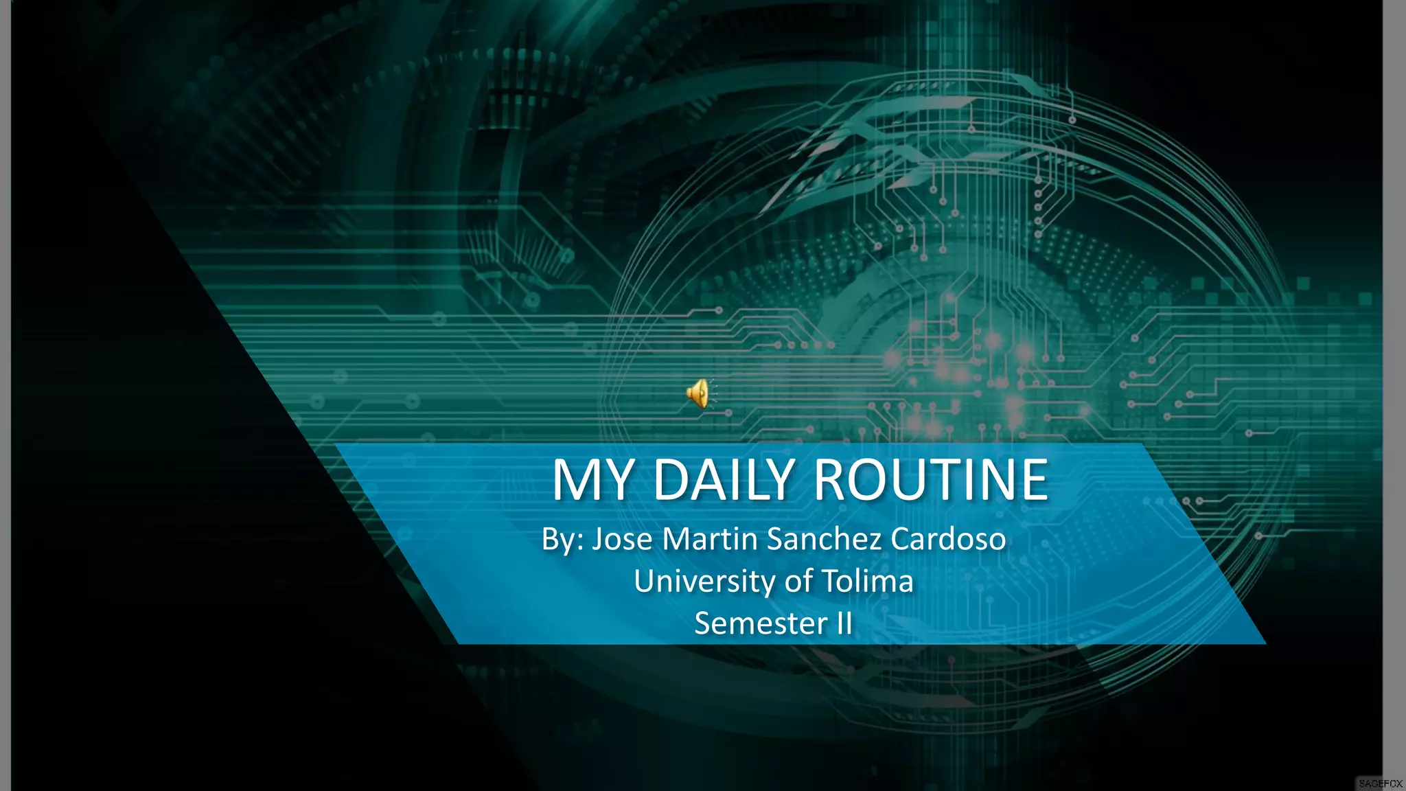 My daily routine | PPTX