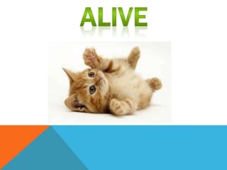 My dictionary slides | PPTX