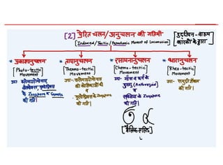 Plant Movements ( पादप गतियां ) Hindi Notes PDF Download | PDF
