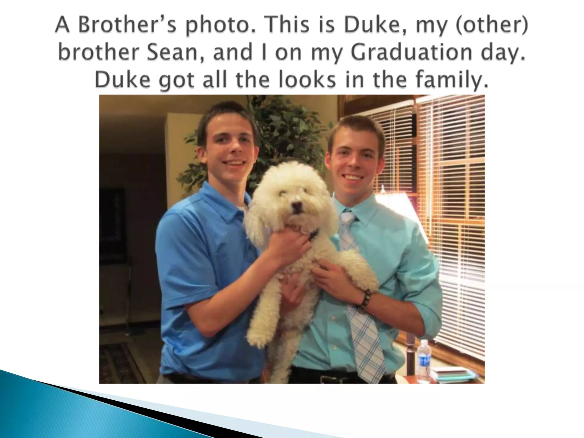 My dog, duke (sit profile) | PPT