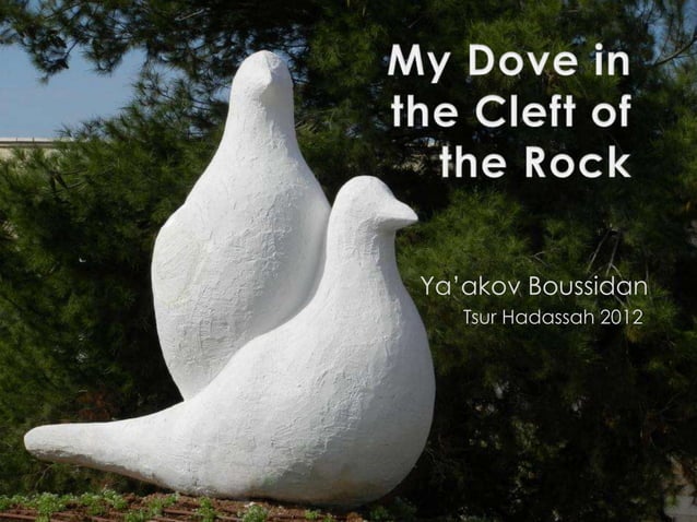 "My dove in the cleft of the rock", Statue in Tsur Hadassah | PPT