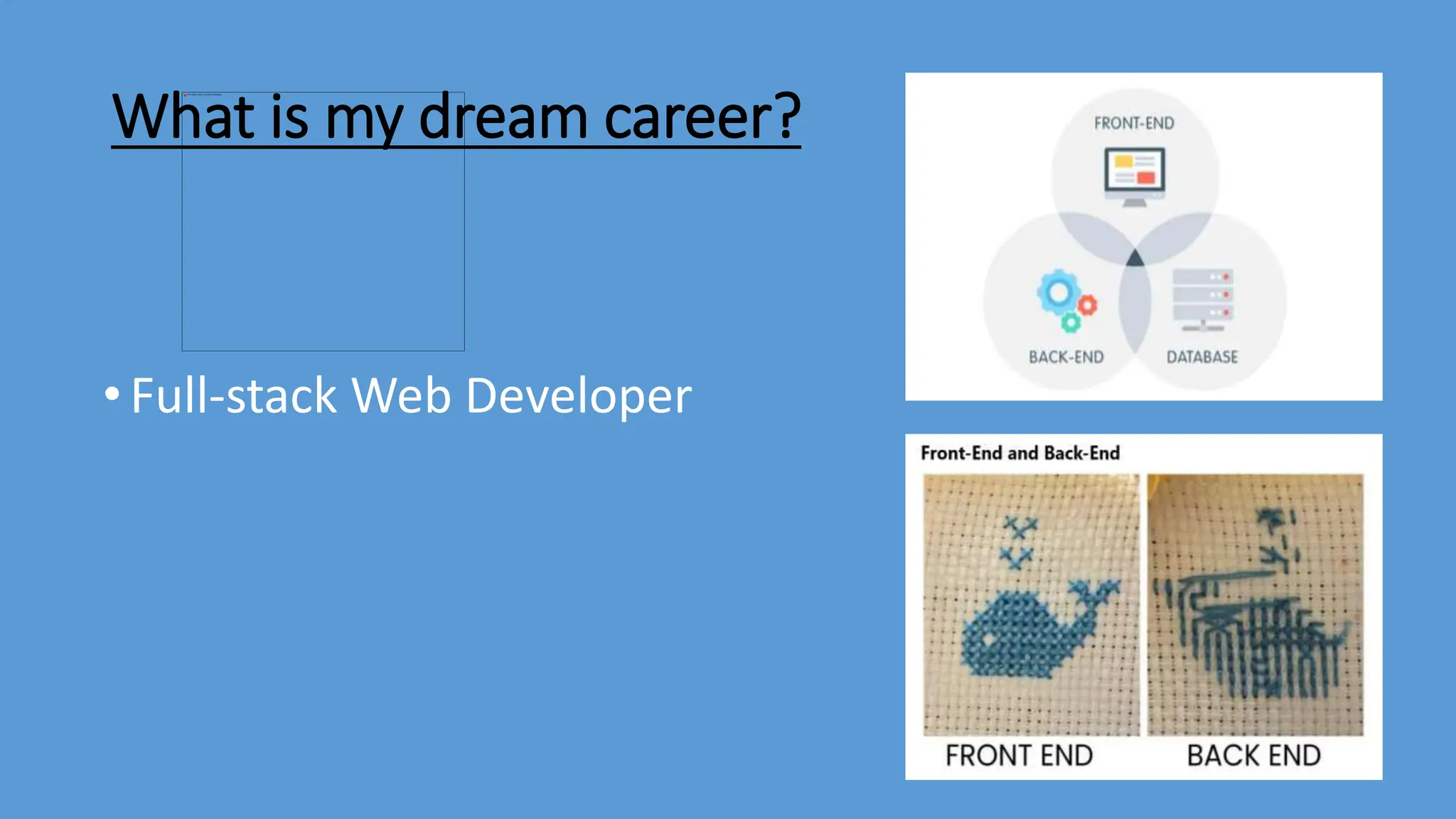 My Dream Career Presentation on cse.pptx