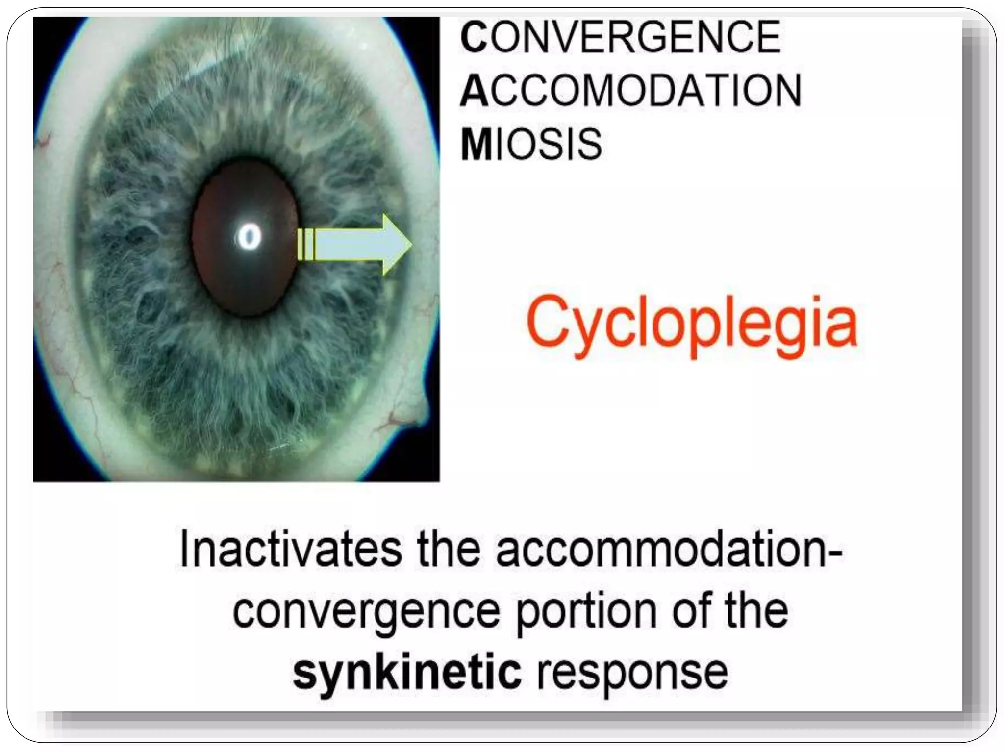 Mydriatics and cycloplegics | PPTX