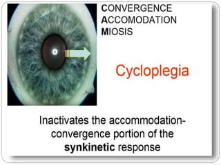 Mydriatics and cycloplegics | PPTX