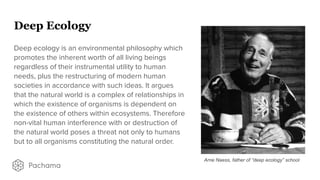 (my) Eco-philosophy - Diego @ Pachama | PPT