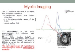 myelin presentation | PPT