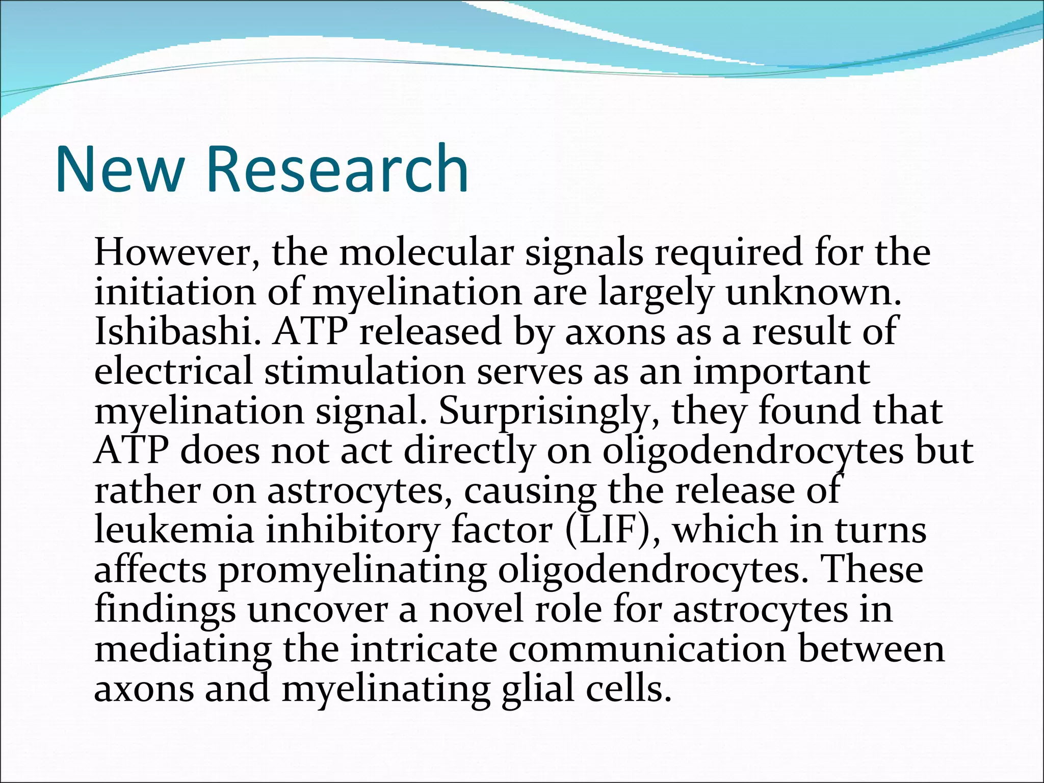 Myelination of nerves in cns | PPT