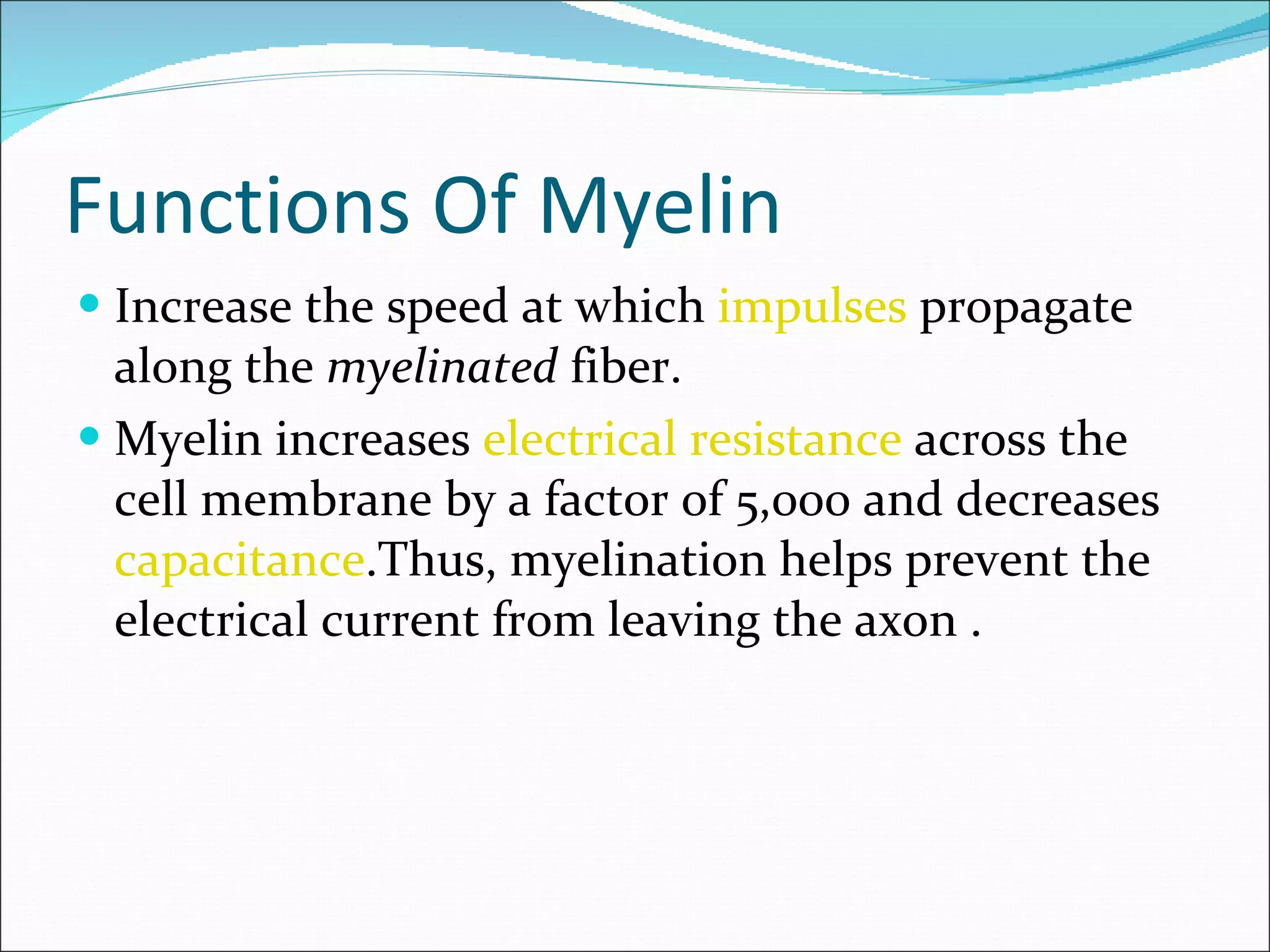 Myelination of nerves in cns | PPT