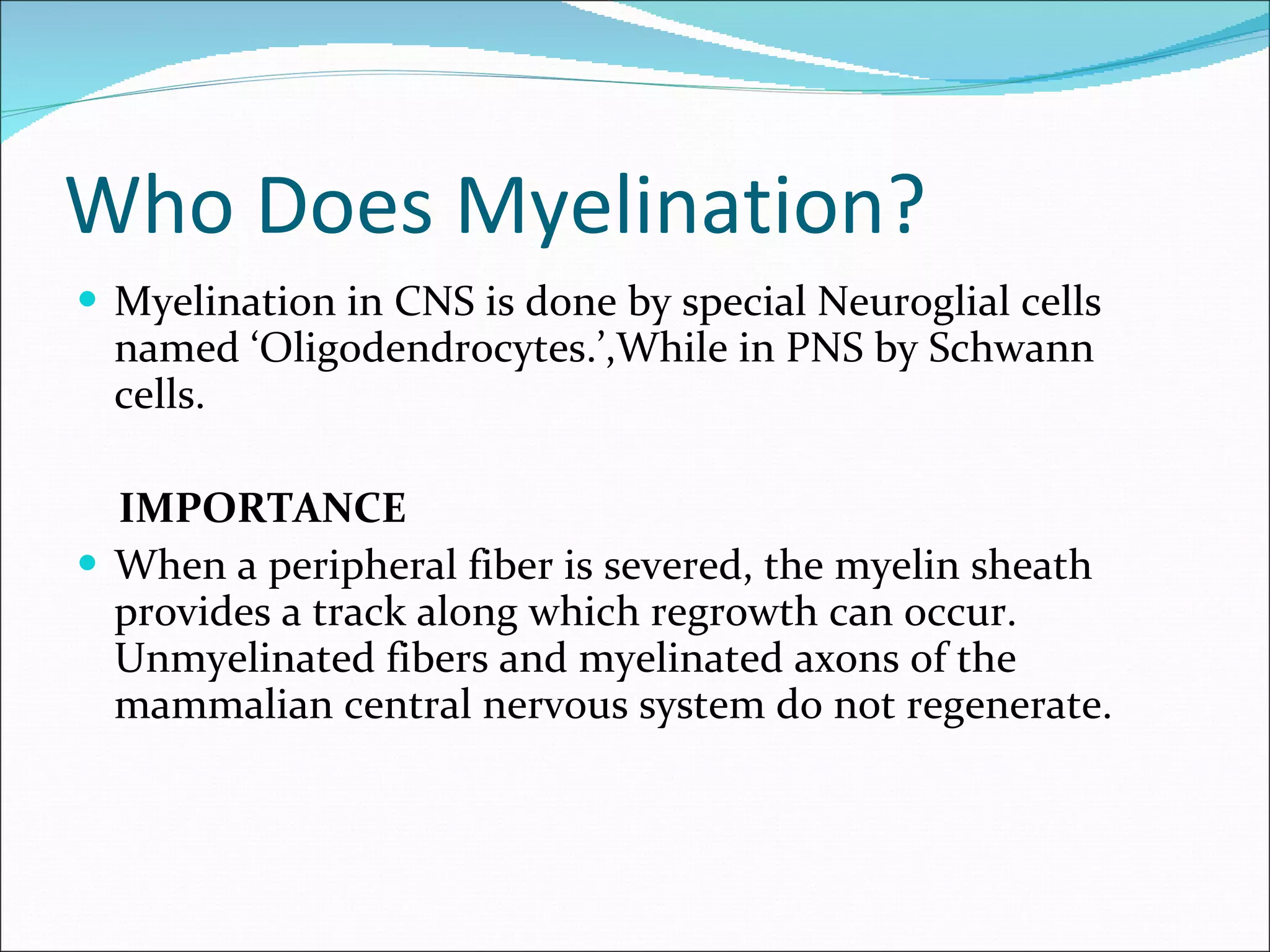 Myelination of nerves in cns | PPT