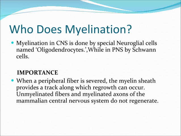 Myelination of nerves in cns | PPT