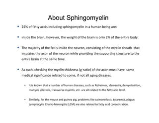 Myelin Matlab Analysis | PDF