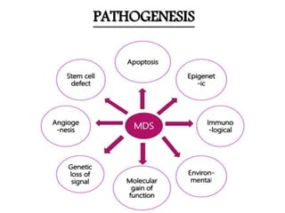 Myelodysplastic Syndrome Pathophysiology