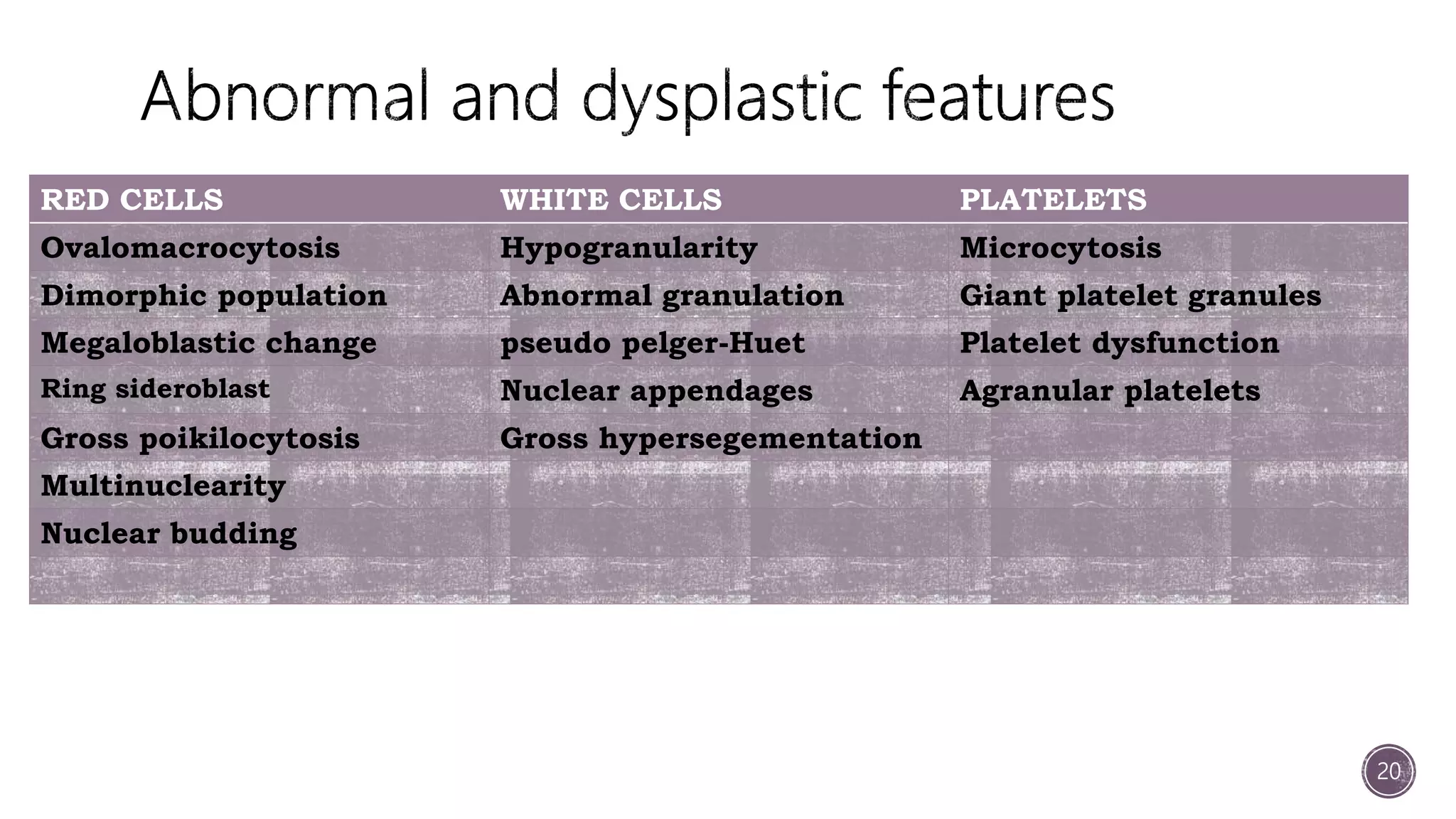 MYELODYSPLASTIC SYNDROME-3.pptx