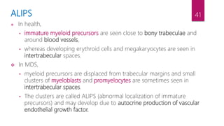 Myelodysplastic syndrome according to WHO 2016 | PPTX