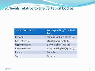 Myelopathy 1 | PPTX