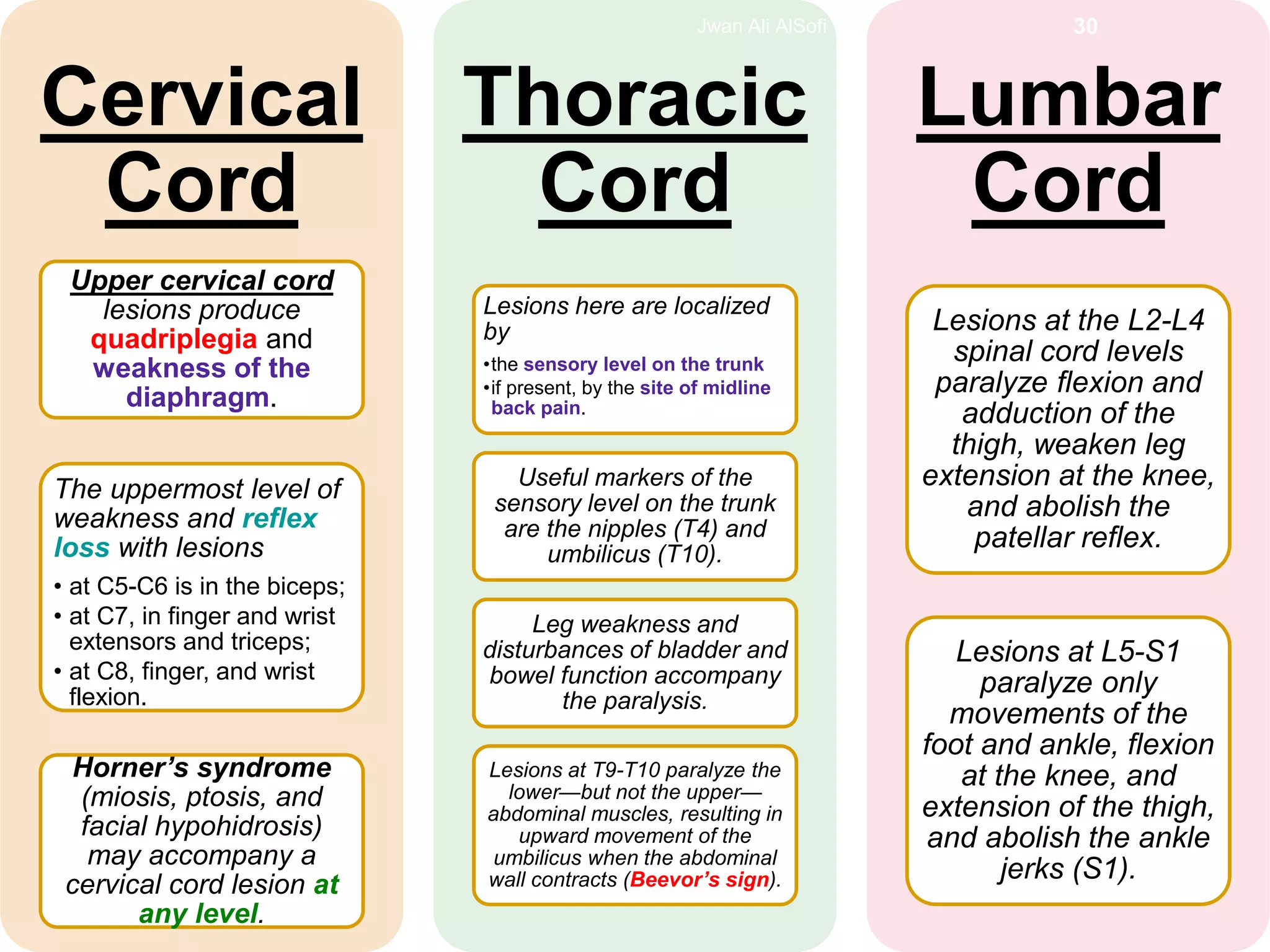 Myelopathy - spinal cord lesions.pptx