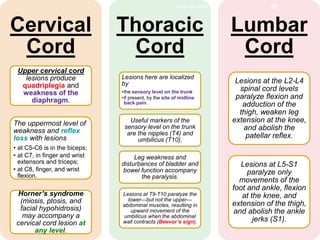 Myelopathy - spinal cord lesions.pptx