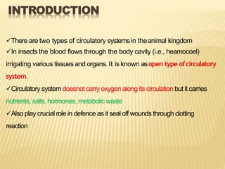 circulatory sysytem of insects | PPTX