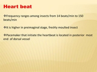 circulatory sysytem of insects | PPTX