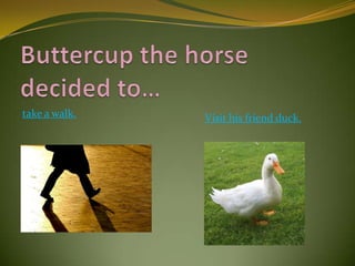 Once Upon A Farm -- Our Farm Animal Story | PPTX