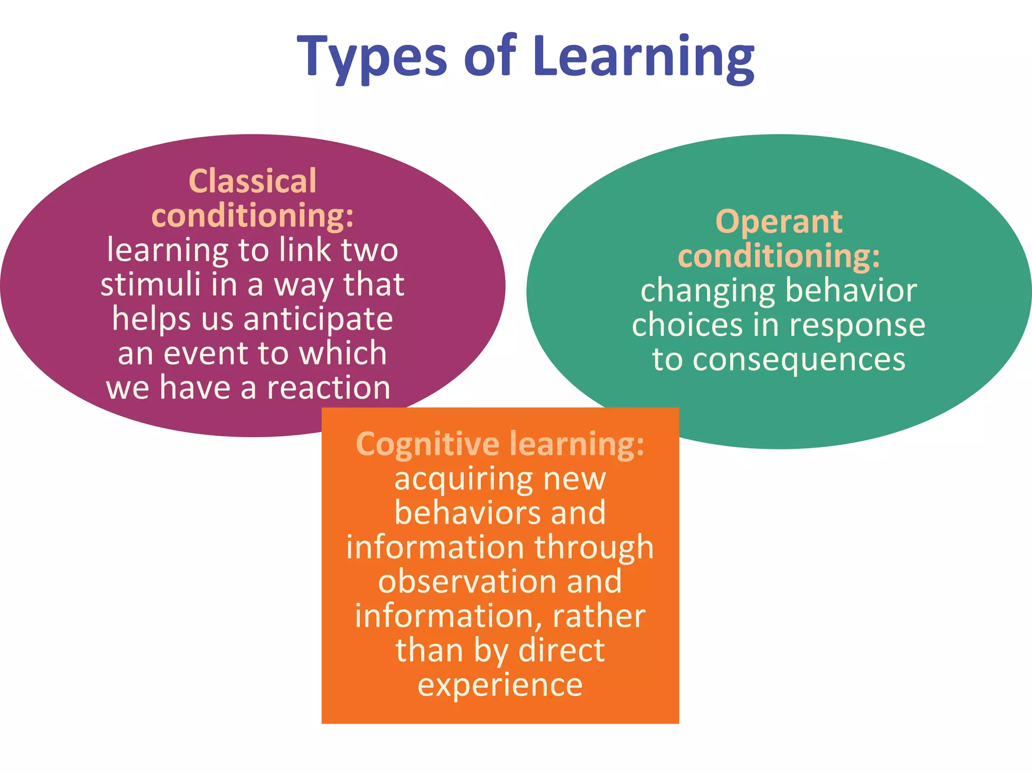 psychology of learning | PPT | Dogs | Pets